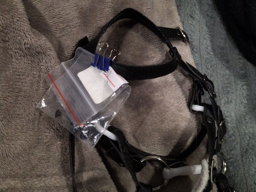 Амуниция заказная