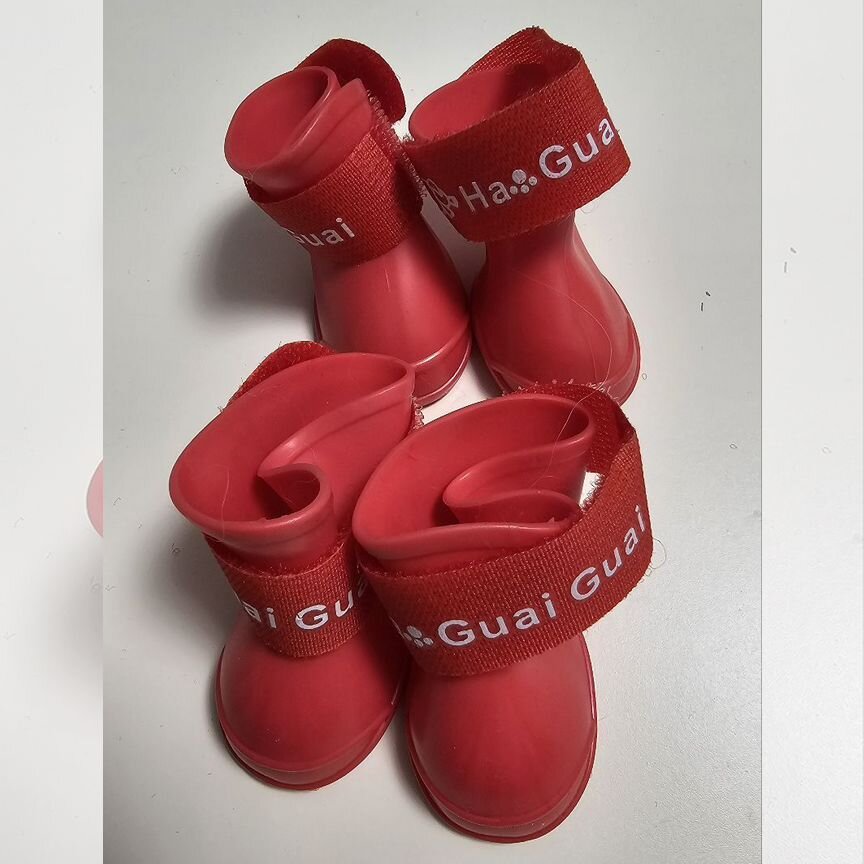 Сапоги обувь для собак