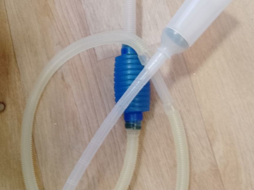 Аквариумные рыбки гуппи