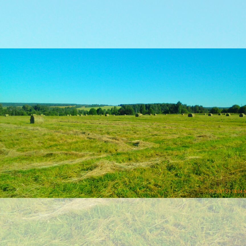 Сено в рулонах