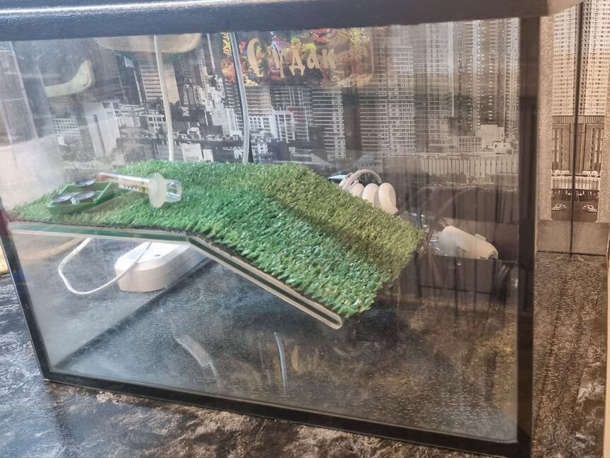 Аквариум для черепах