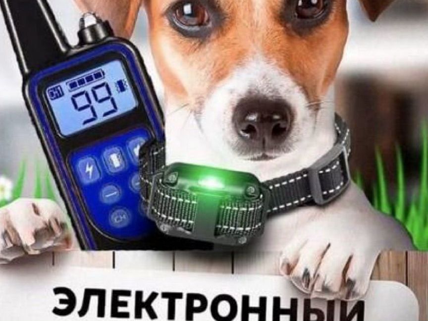 Электронный ошейник для собак с пультом