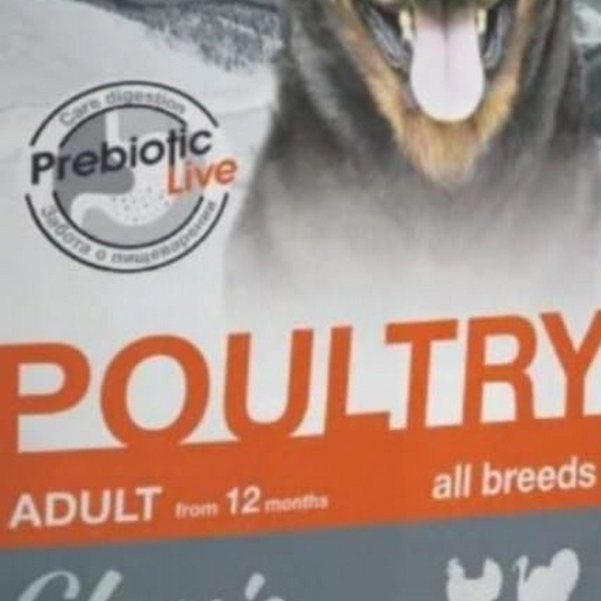 Сухой корм для собак