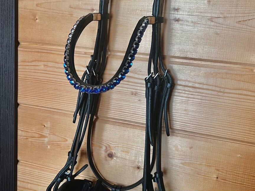 Оголовье для лошади