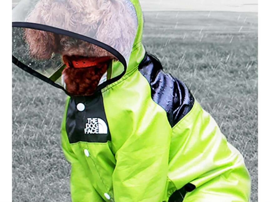 Одежда для собаки. Дождевик с капюшоном