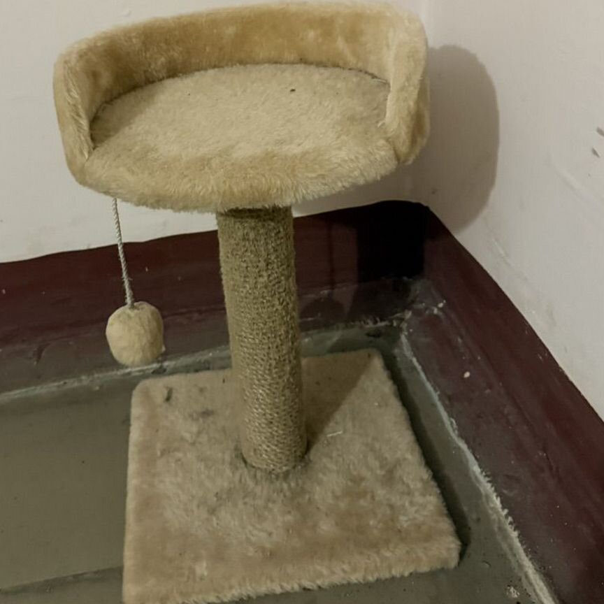 Когтеточка лежанка