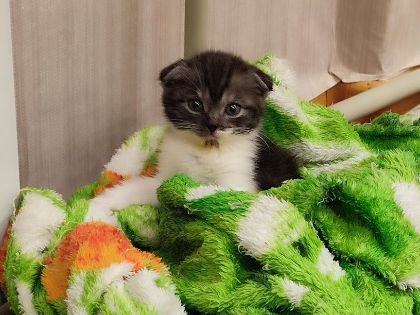 Очаровательный мальчик