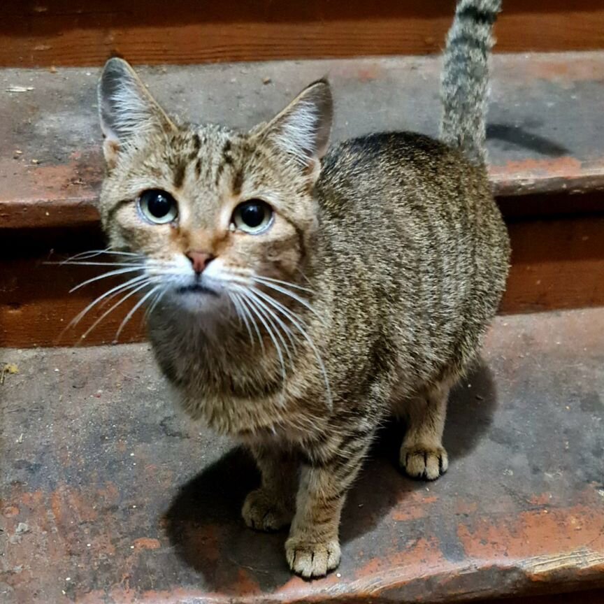 Спасите маленькую девочку от смерти