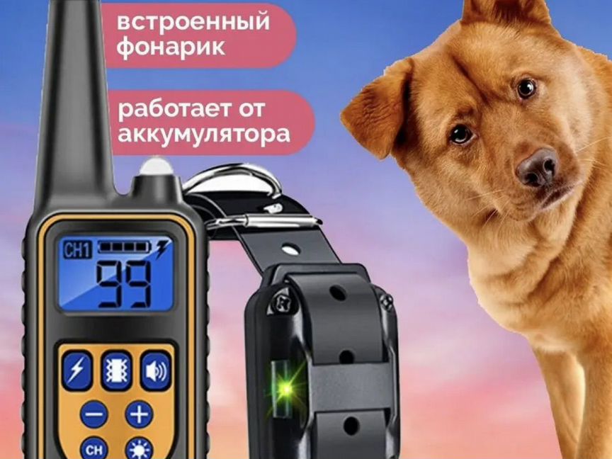 Ошейник электрический