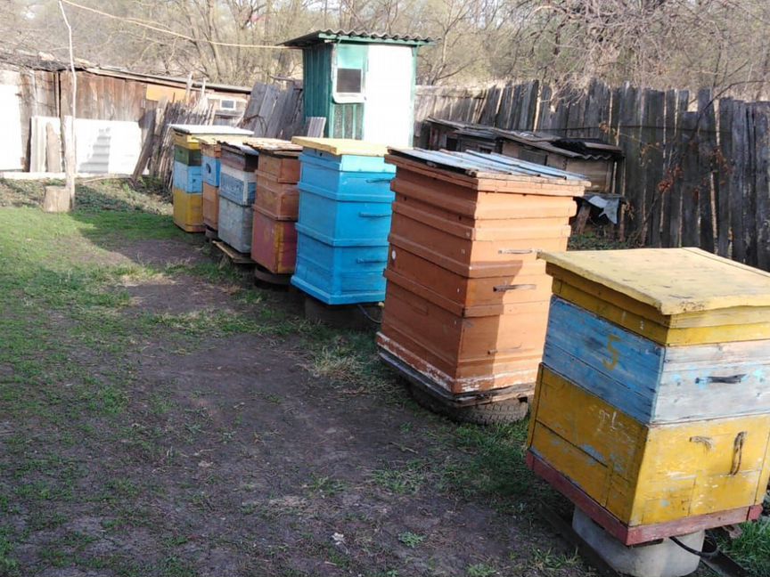 Улей для пчёл бу в Воронежской области