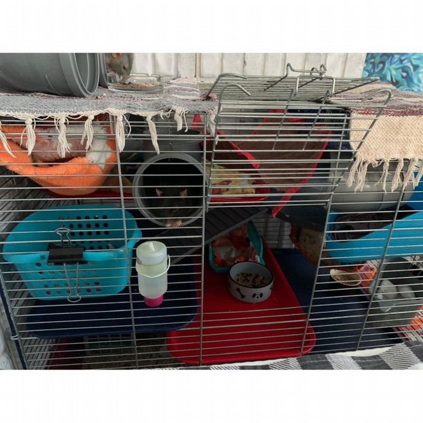 Клетка для грызунов бу