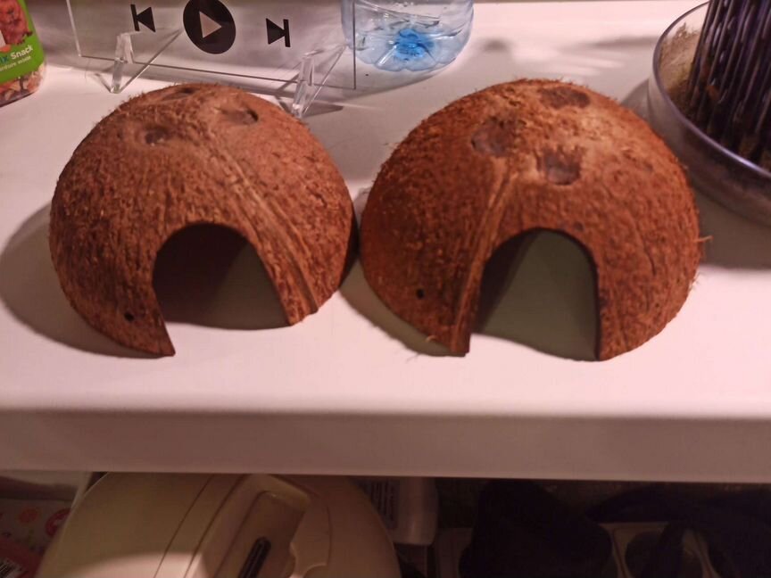 Домик для хомяка кокос