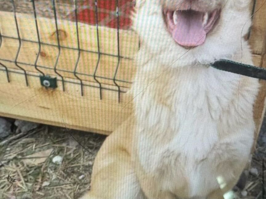 Девочка стерильная