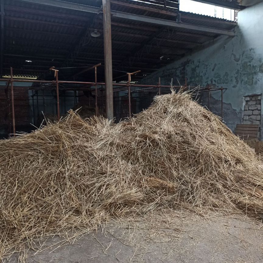 Солома в мешках