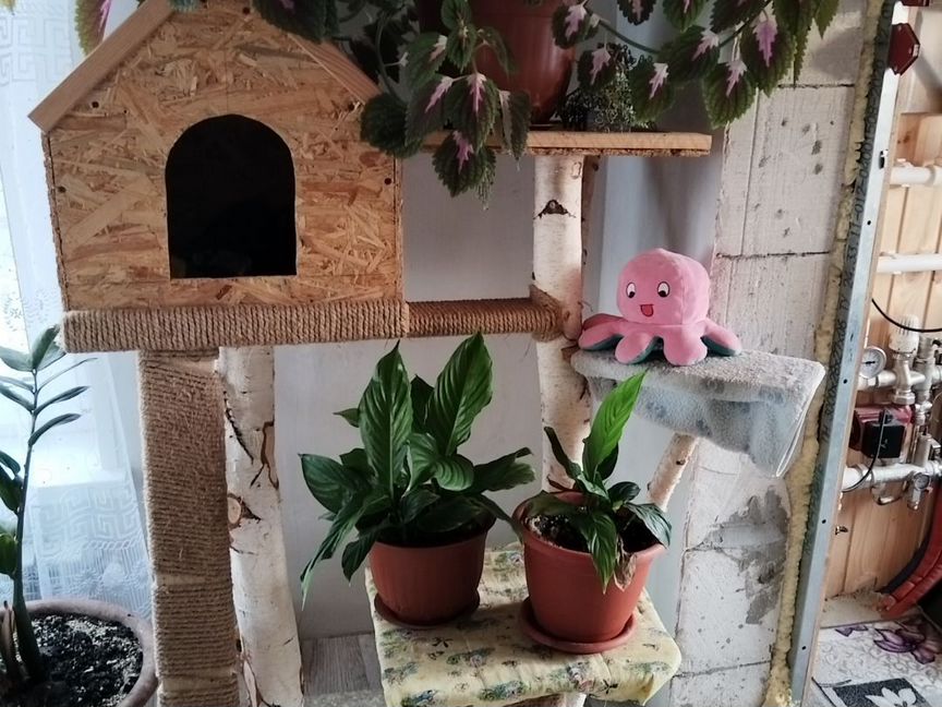 Домик для кошки с когтеточкой бу