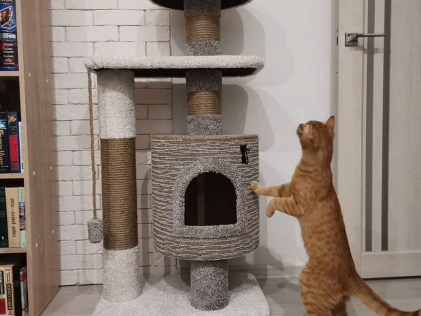 Домик - когтеточка, лежанка для котов(кошек) новый