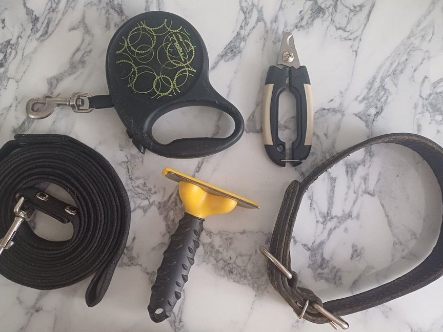 Аксессуары для собак