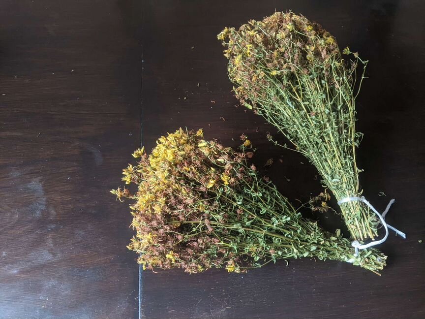 Трава зверобой сушёная. Пучок, букет