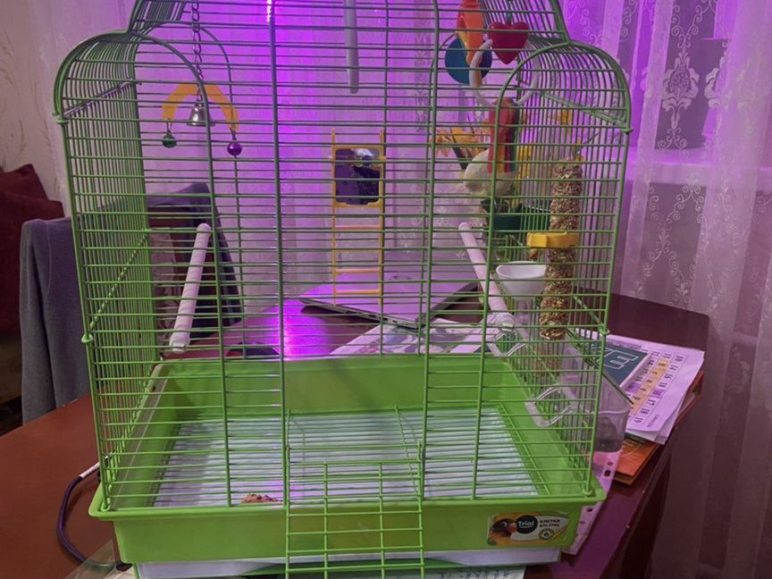 Клетка для попугая