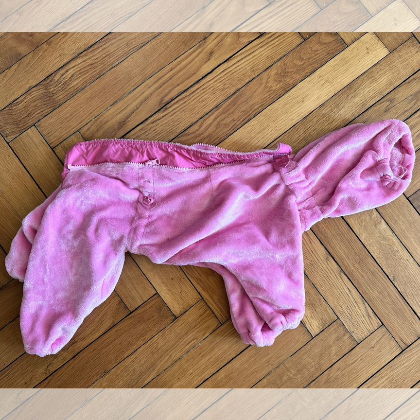 Комбинезон для левретки / уиппета