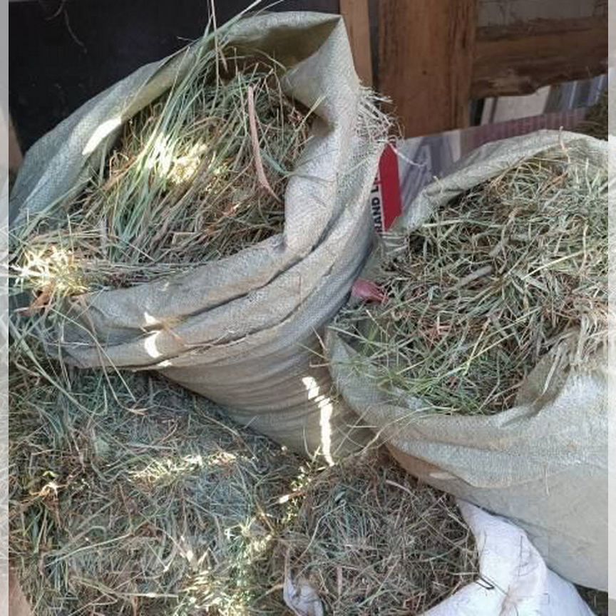 Сено луговое в мешках