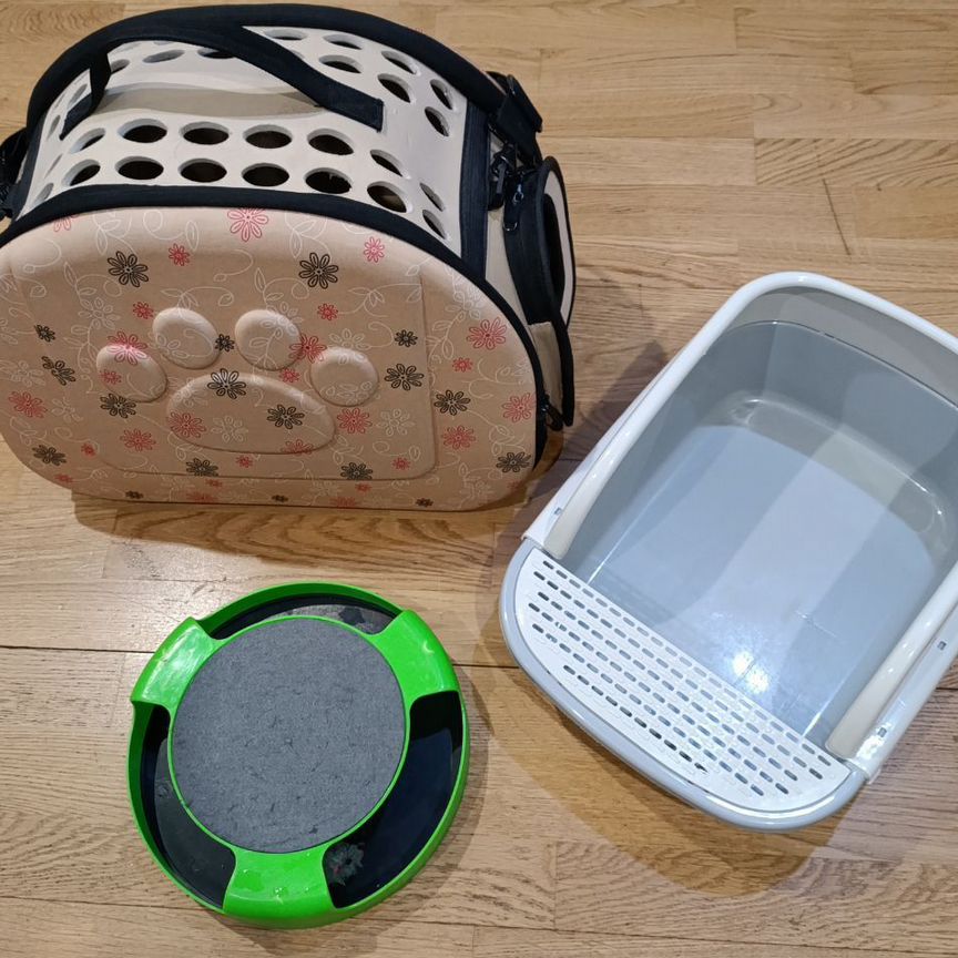 Полезное для котенка