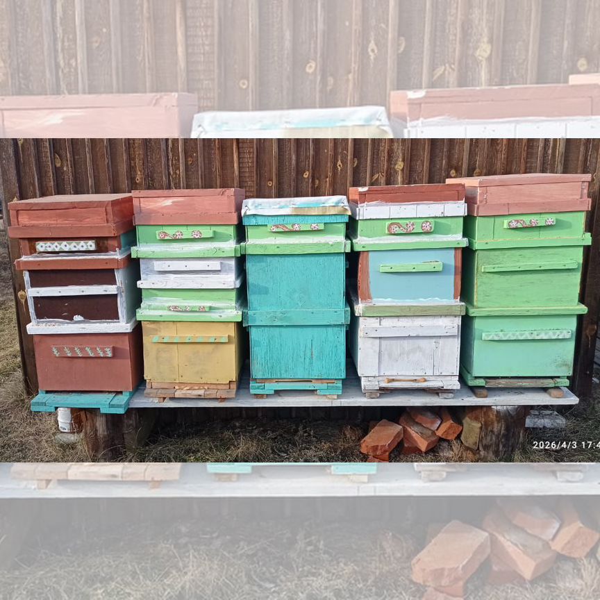 Улей для пчел бу