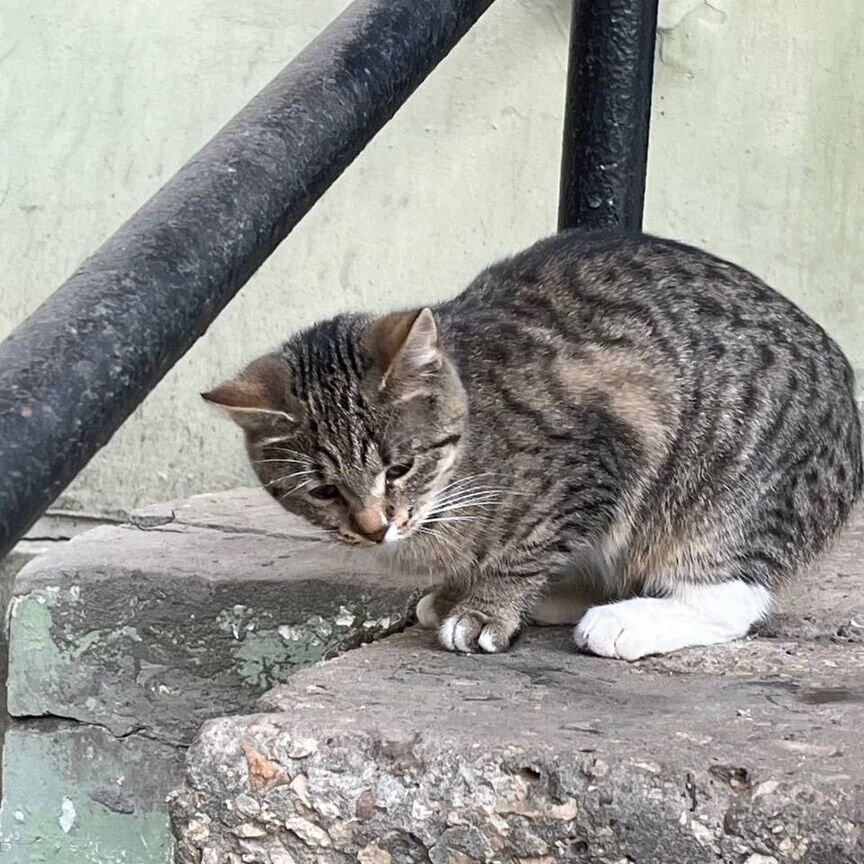 Малышка выживает на улице