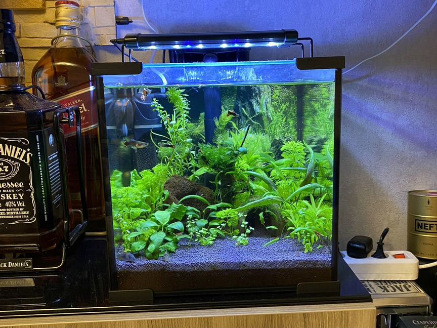 Аквариум куб маленький 27л