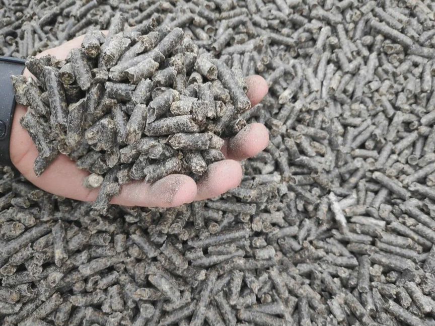 Жом свекловичный гранулированный