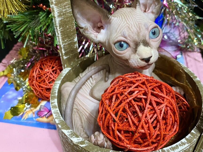 Потрясный мальчишка