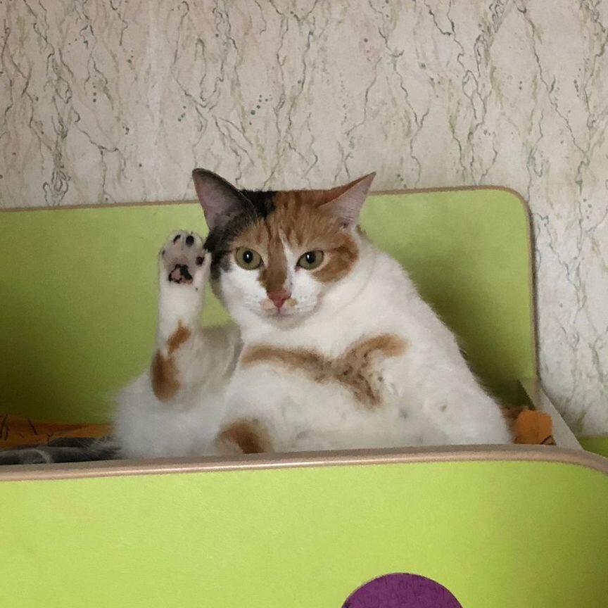 Девочка 15 месяцев