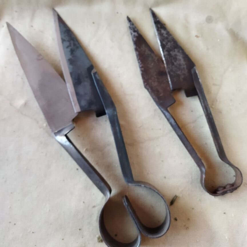 Ножницы для стрижки овец