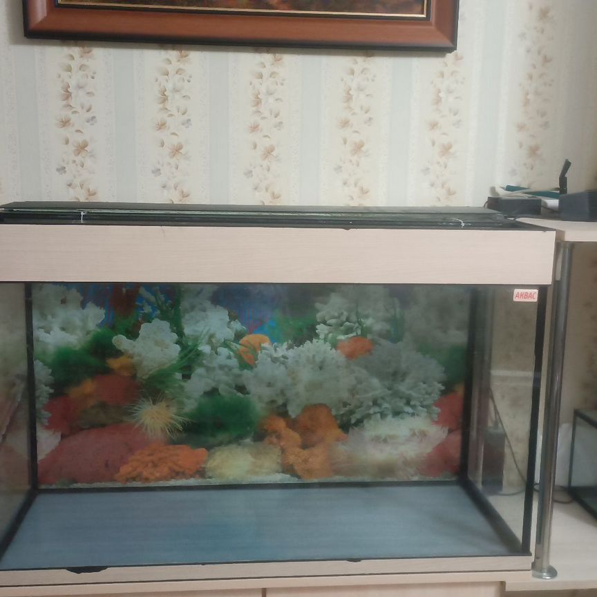 Аквариум