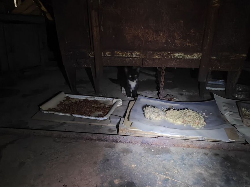 Доброе дело