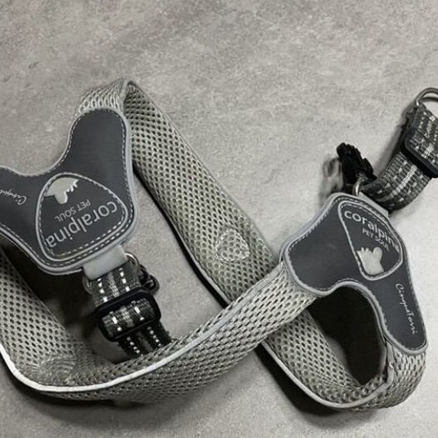 Шлейка для собаки coralpina