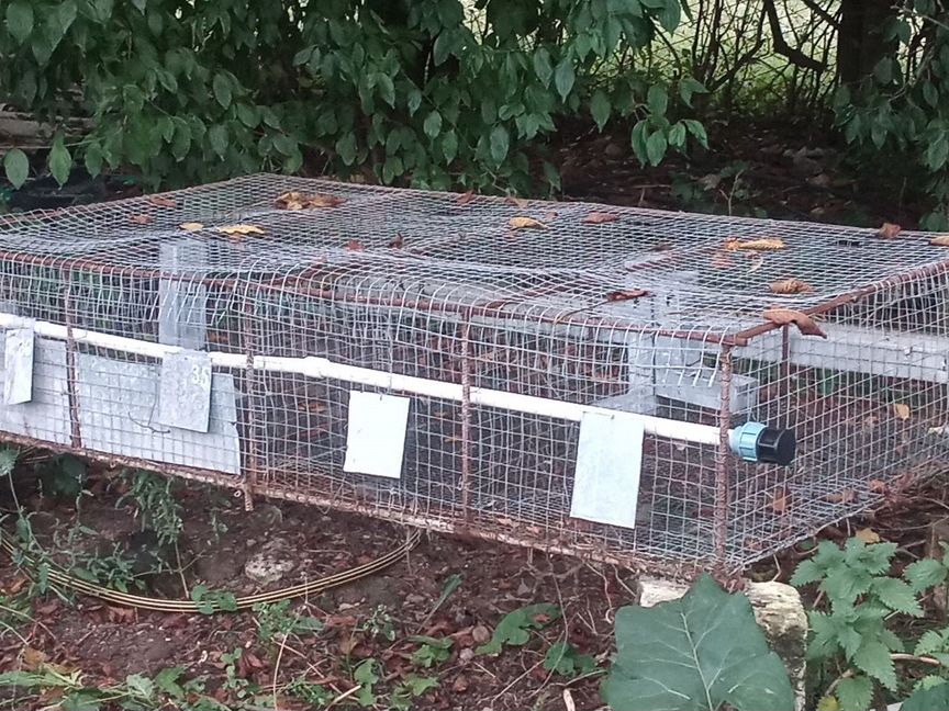 Клетка для птиц бу