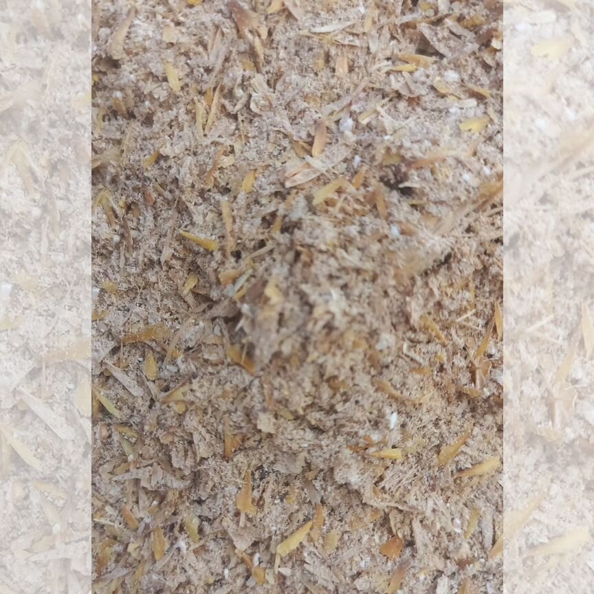 Корм для скота