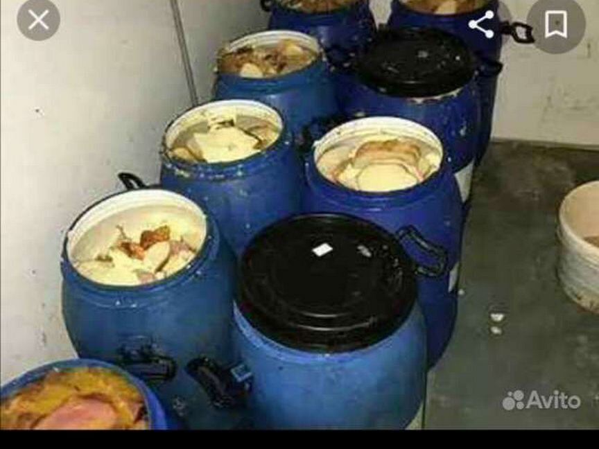 Пищевые отходы для животных