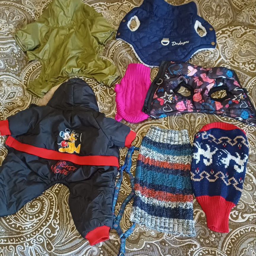 Вещи на на собачку маленькую