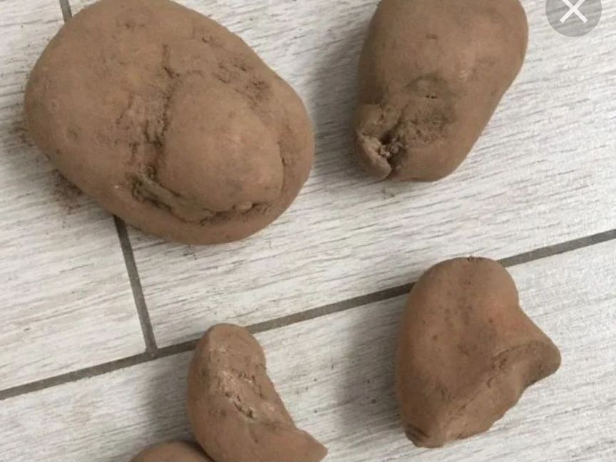 Продам картофель на корм скоту