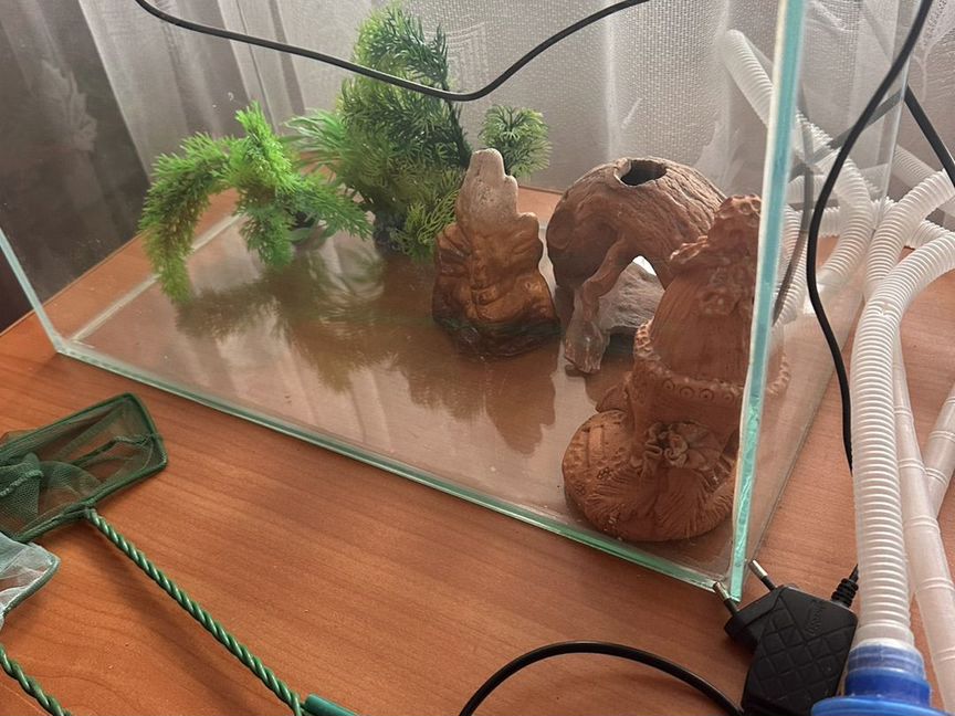 Аквариум