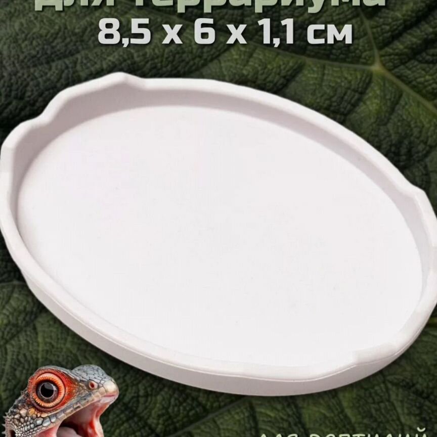 Кормушки для небольшого террариума