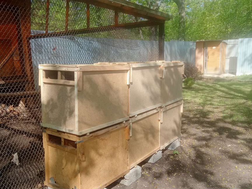 Транспортировочные ульи для пчёл