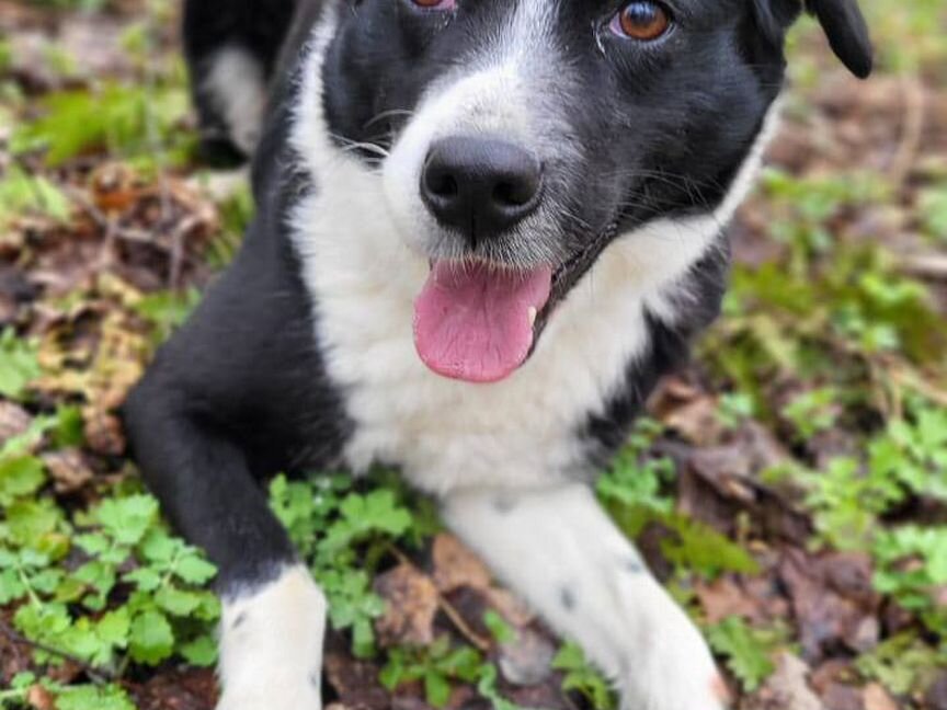 Маленькой Марфуше страшно в приюте