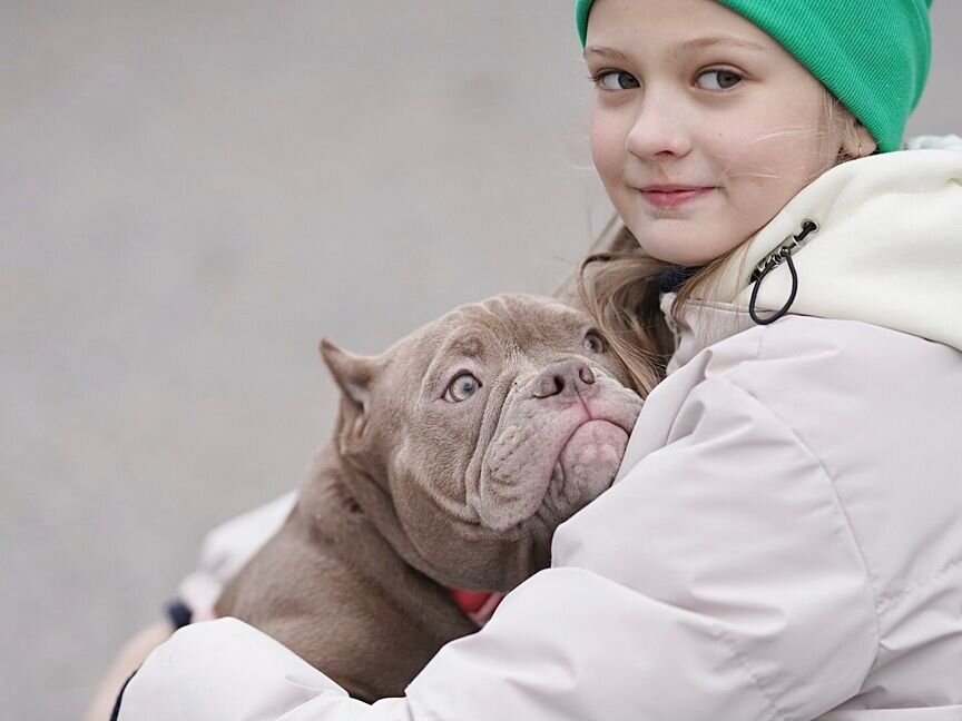 Американский булли