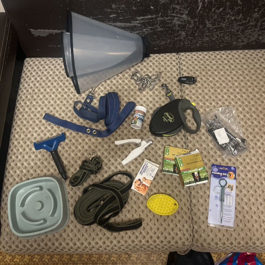 Вещи для собак