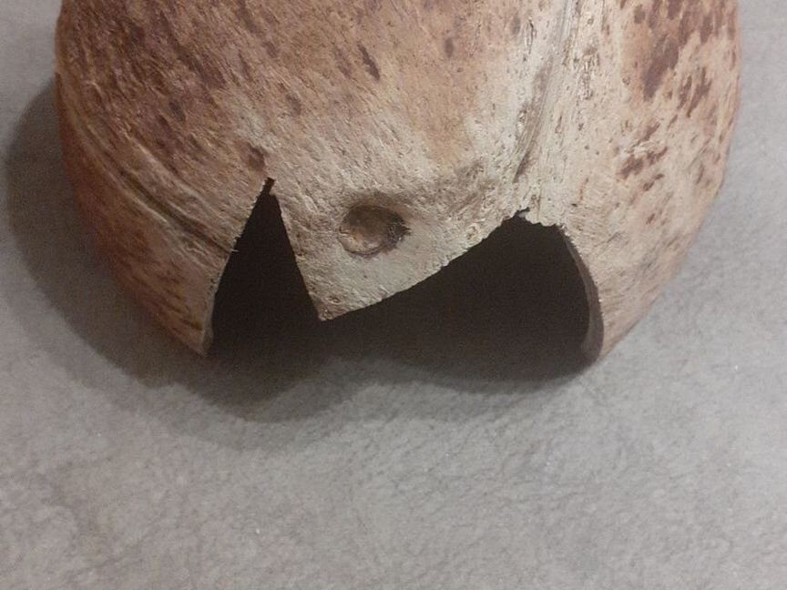 Украшения для аквариума