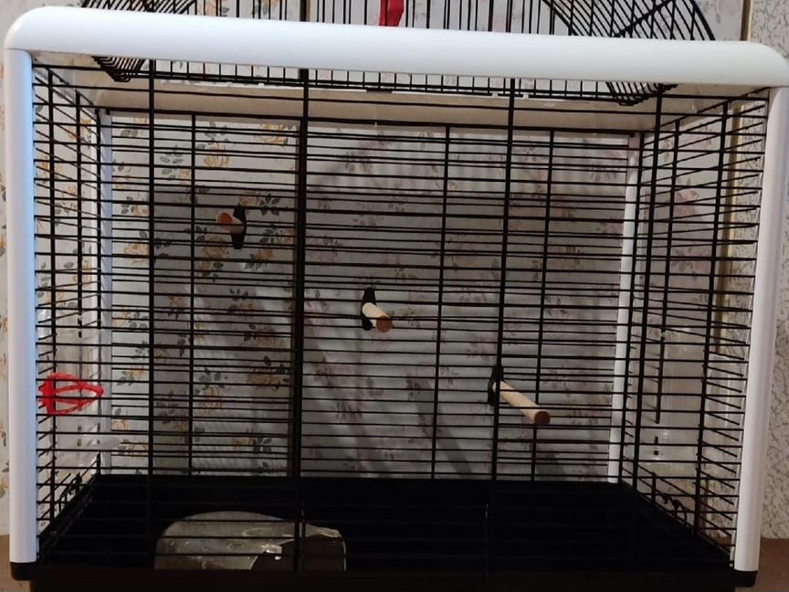 Клетка Palladio, кормушка, гнездо, переноска