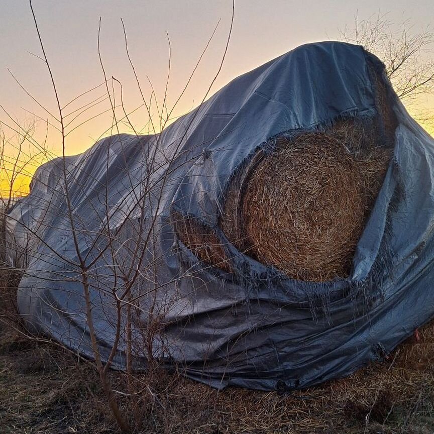 Солома в рулонах, ячмень и пшеница